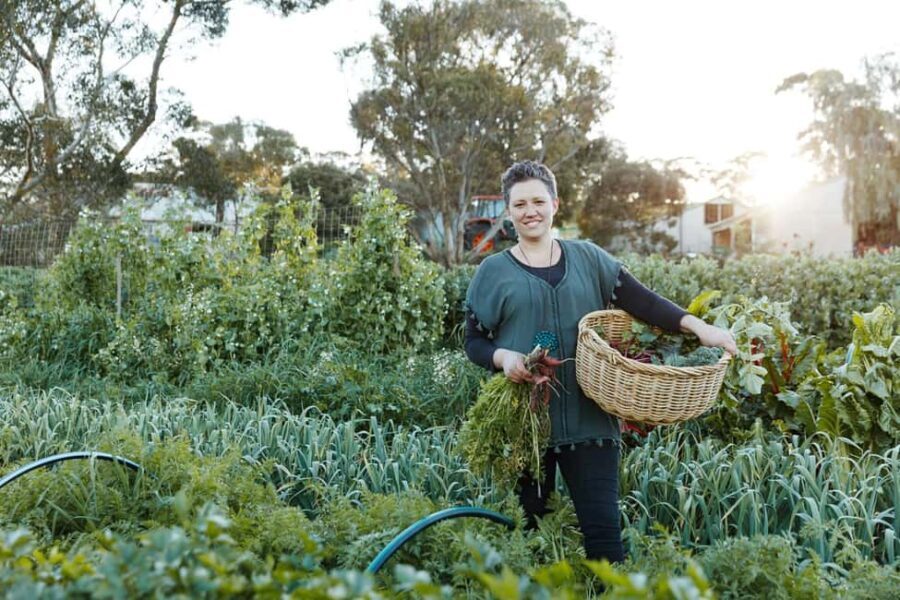 Watervale: Penobscot Farm Tour with Chef and 5-Course Lunch - What to Expect: A Full Breakdown