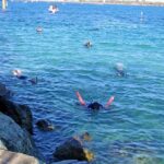 Wave Break Island Snorkel Tour on the Gold Coast - Who Should Consider This Tour?
