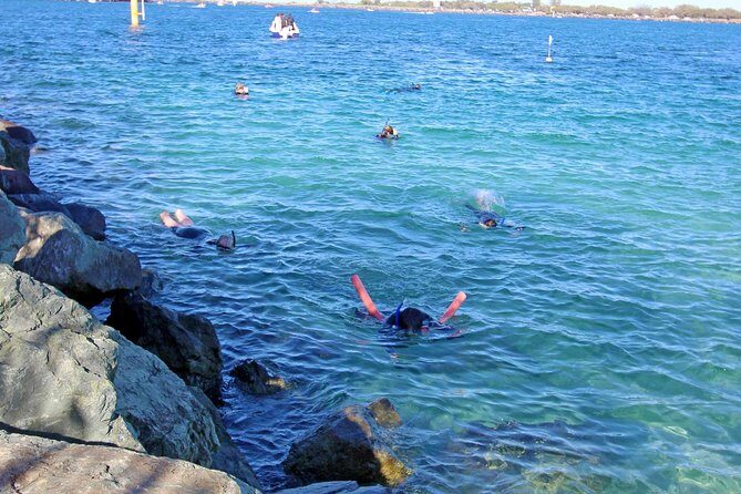 Wave Break Island Snorkel Tour on the Gold Coast - Who Should Consider This Tour?