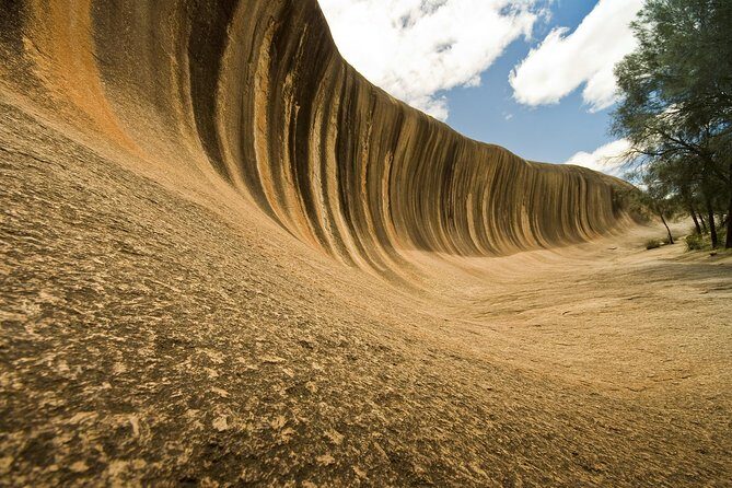 Wave Rock, York, Wildflowers, and Aboriginal Cultural Day Tour from Perth - Who Is This Tour Best For?