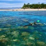Wavedancer Low Isles Great Barrier Reef Sailing Cruise from Cairns - The Itinerary in Detail