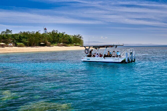 Wavedancer Low Isles Great Barrier Reef Sailing Cruise from Palm Cove - The Itinerary: What You Can Expect