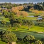 Wellington: 7-Day Lower North Island Golf Tour - The Value of Included Features