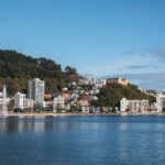 Wellington 90 minute Harbour Cruise - Exploring Wellington Harbour on a Fully Electric Ferry