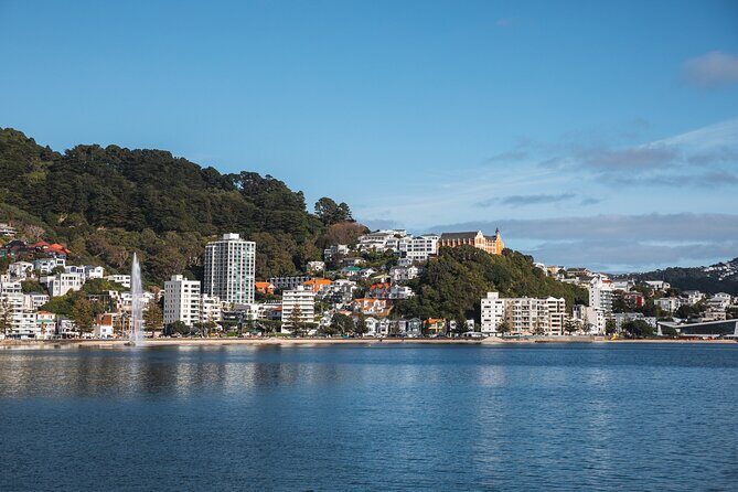 Wellington 90 minute Harbour Cruise - Exploring Wellington Harbour on a Fully Electric Ferry