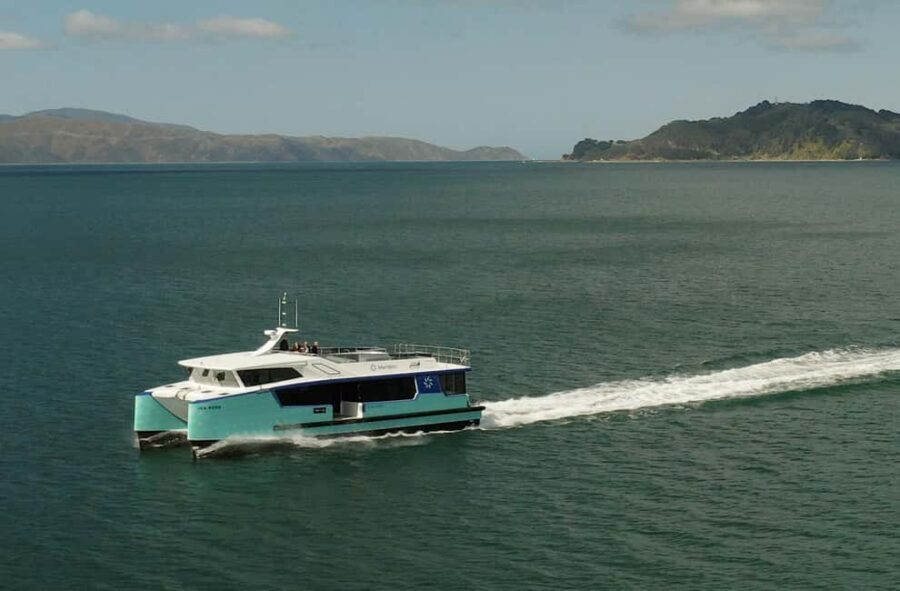 Wellington: Commentated Harbour Explorer tour - Why the Electric Ferry Matters