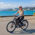Wellington: Electric Bike Rental - Who Will Love This Experience?