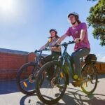 Wellington Electric Bike Rental - Authentic Experiences from Fellow Travelers