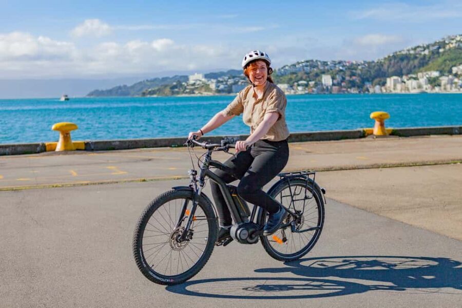 Wellington: Electric Bike Rental - Who Will Love This Experience?