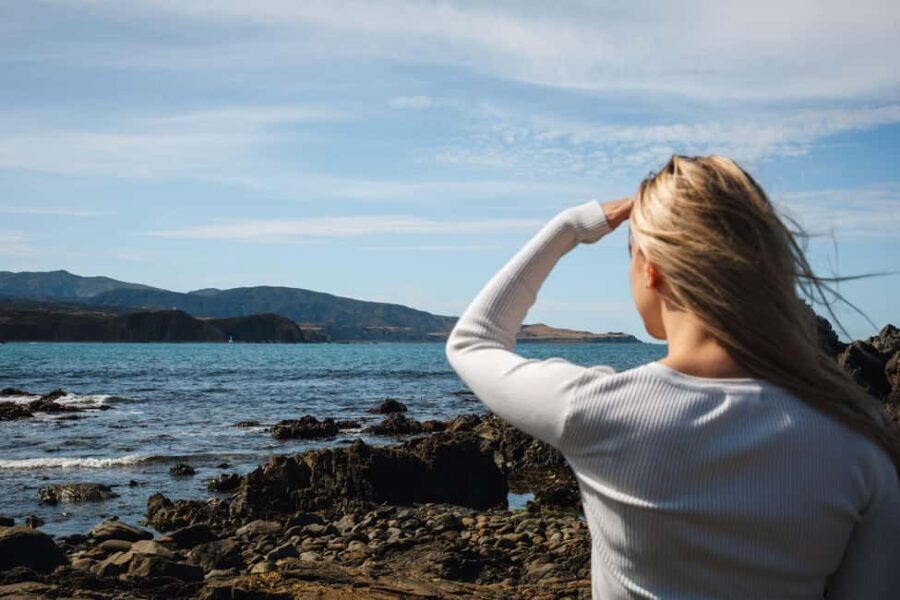 Wellington: Guided City Tour with Cable Car Ticket - The Value of This Tour
