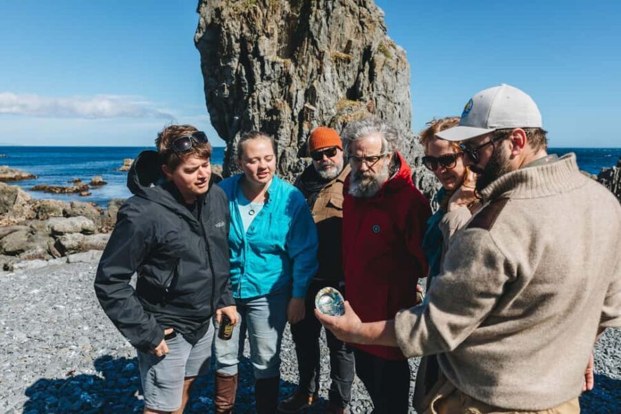 Wellington: Half Day Seal Coast Safari - The Value of the Tour