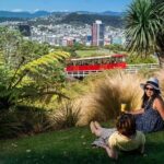 Wellington Highlights Cave to Coast Tour with Lunch - Who Is This Tour Best For?