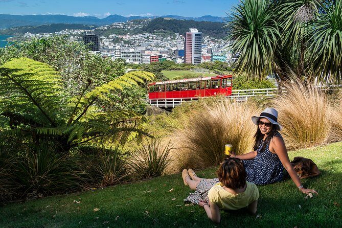 Wellington Highlights Cave to Coast Tour with Lunch - Who Is This Tour Best For?