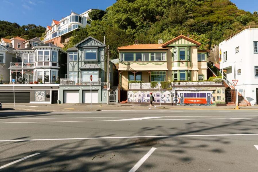 Wellington: Highlights Tour with a Local Guide - Who Should Consider This Tour?