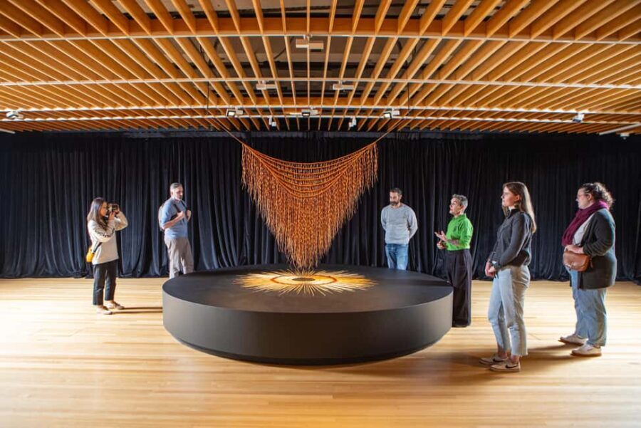 Wellington: Museum of NZ General Admission - Who Will Love This Experience?