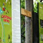 Wellington Native Bush Walking Tour - Summary: Is This Tour Worth Your Time?