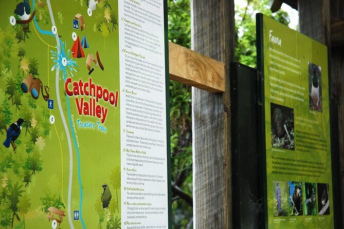 Wellington Native Bush Walking Tour - Summary: Is This Tour Worth Your Time?