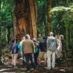 Wellington: Original LOTR Full-Day Tour with Weta & Lunch - Behind-the-Scenes at Weta Workshop