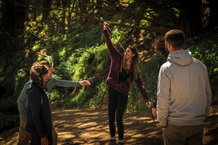 Wellington: Original LOTR Half-Day Experience with Weta - What’s Included and What to Consider