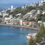 Wellington Private Day Tour with Door to Door Transfers - Who Will Enjoy This Tour?