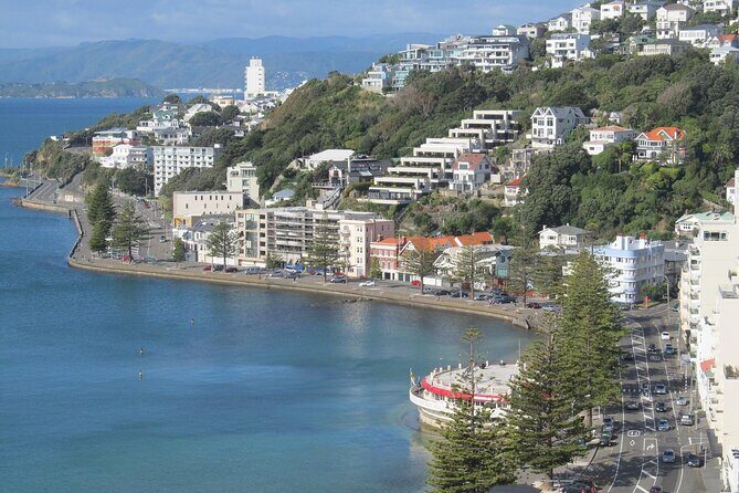 Wellington Private Day Tour with Door to Door Transfers - Who Will Enjoy This Tour?