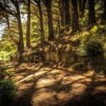 Wellington Private Highlight Fullday tour - What’s Included and What’s Not