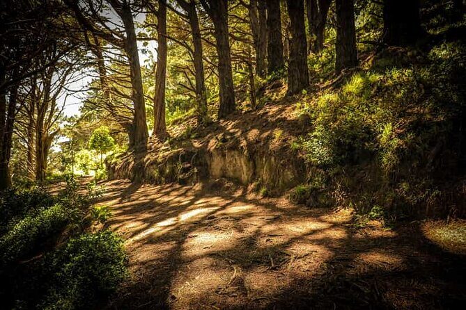 Wellington Private Highlight Fullday tour - What’s Included and What’s Not