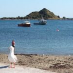 Wellington Scenic Full Day Tour - The Value of This Tour