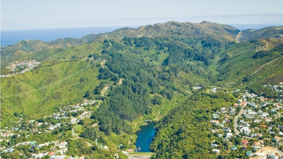 Wellington: Scenic Harbour Helicopter Flight - An In-Depth Look at the Wellington Harbour Helicopter Flight
