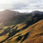 Wellington: Scenic South Coast Discovery Helicopter Flight - Pricing and Value