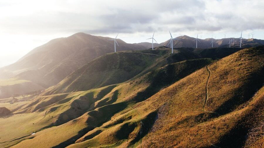 Wellington: Scenic South Coast Discovery Helicopter Flight - Pricing and Value