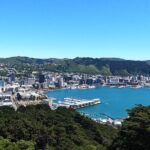 Wellington's Original LOTR Experience - includes Weta and Lunch - What Makes This Tour Stand Out?