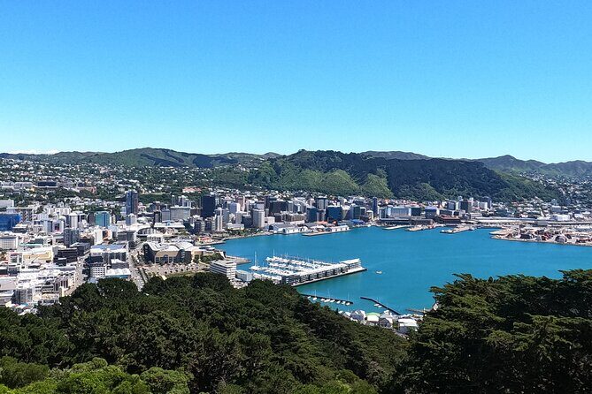 Wellington's Original LOTR Experience - includes Weta and Lunch - What Makes This Tour Stand Out?