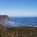 West Coast Discovery - Piha Beach or Muriwai Beach from Auckland - Exploring the Itinerary in Detail
