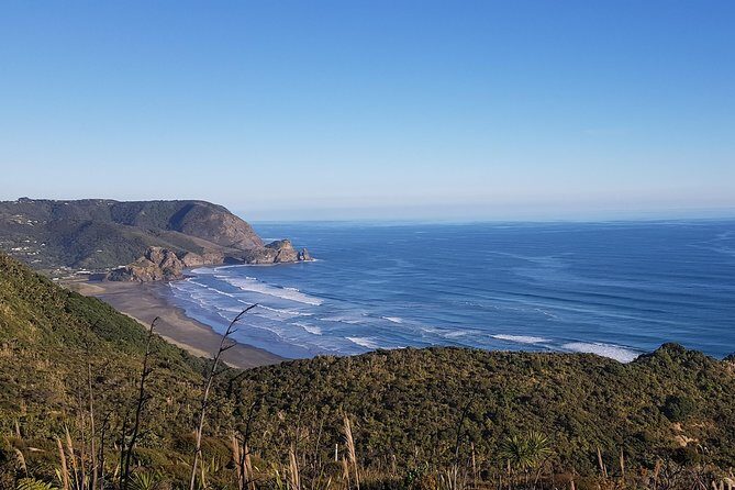 West Coast Discovery - Piha Beach or Muriwai Beach from Auckland - Exploring the Itinerary in Detail
