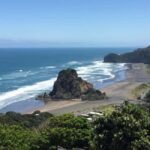 West Coast Discovery Piha Beach Private Tour - Who Should Consider This Tour?