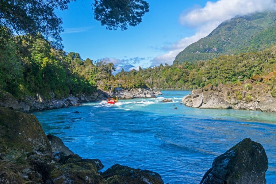 West Coast: Eco River Safari in UNESCO World Heritage Area - Authentic Insights from Travelers