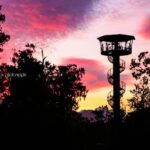 West Coast Tree Top Walk Experience - Evaluating the Cost and Value