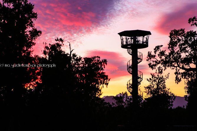 West Coast Tree Top Walk Experience - Evaluating the Cost and Value