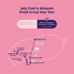West Jeju Cherry Blossom Strawberry Picking Small Group Tour - Who Will Love This Tour?