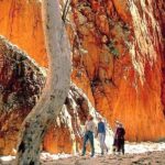 West MacDonnell Ranges Day Trip from Alice Springs - Simpsons Gap: A Natural Marvel