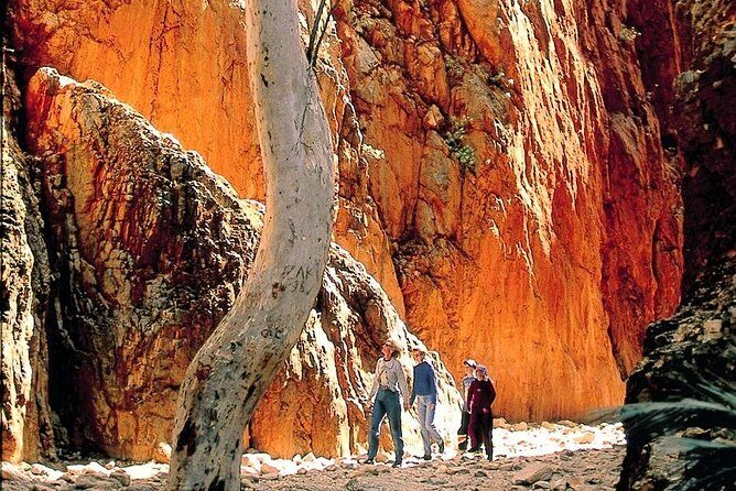 West MacDonnell Ranges Day Trip from Alice Springs - Simpsons Gap: A Natural Marvel