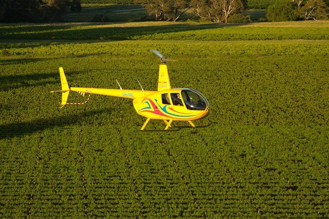 Western Ridge & Valley Floor: 20-Minute Helicopter Flight - Final Thoughts