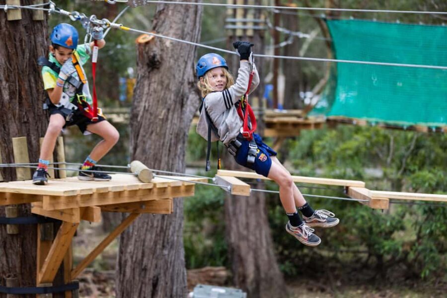 Western Sydney: Junior Tree Ropes Courses - What to Expect During Your Visit