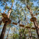 Western Sydney Tree Ropes Course - Who Would Love This Experience?
