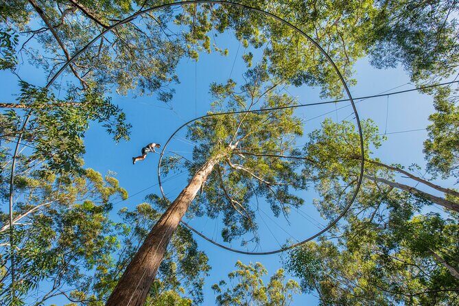 Western Sydney Zipcoaster Experience - The Unique Features of the Zipcoaster