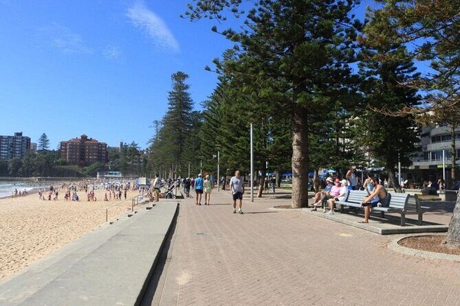 Wet & Dry Manly from Sydney - What to Expect and Practical Tips