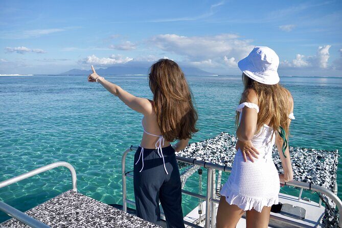 Whale Watching Activity - Who Will Love This Tour?