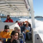Whale Watching Adventure Cruise - The Itinerary and What to Expect