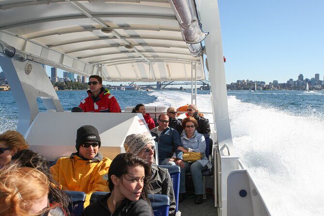 Whale Watching Adventure Cruise - The Itinerary and What to Expect